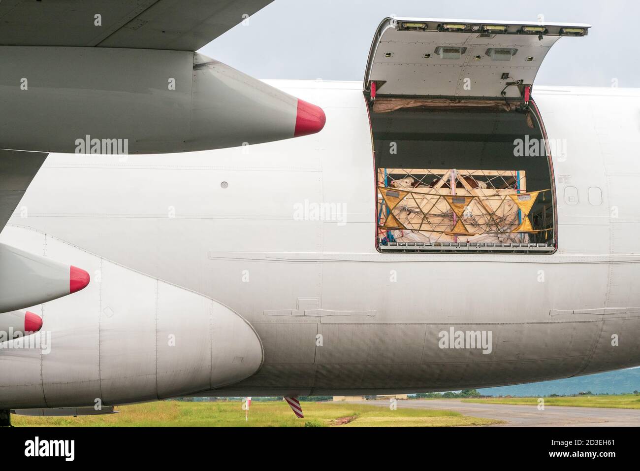 Bétail dans des caisses en bois fixées par des filets en cours d ...
