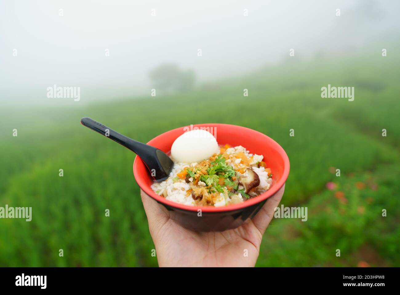 Faire bouillir la soupe de riz Banque de photographies et d’images à ...