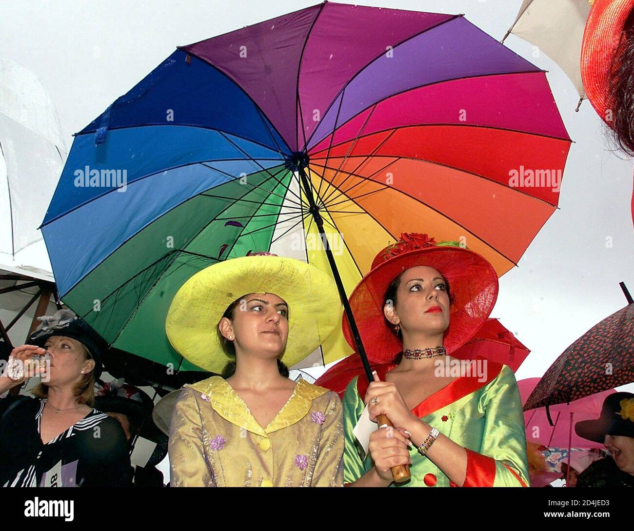 David Shamoon Banque d'image et photos - Alamy