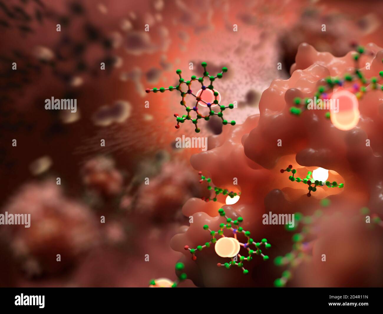 Respiración celular aeróbica Banque de photographies et d’images à ...