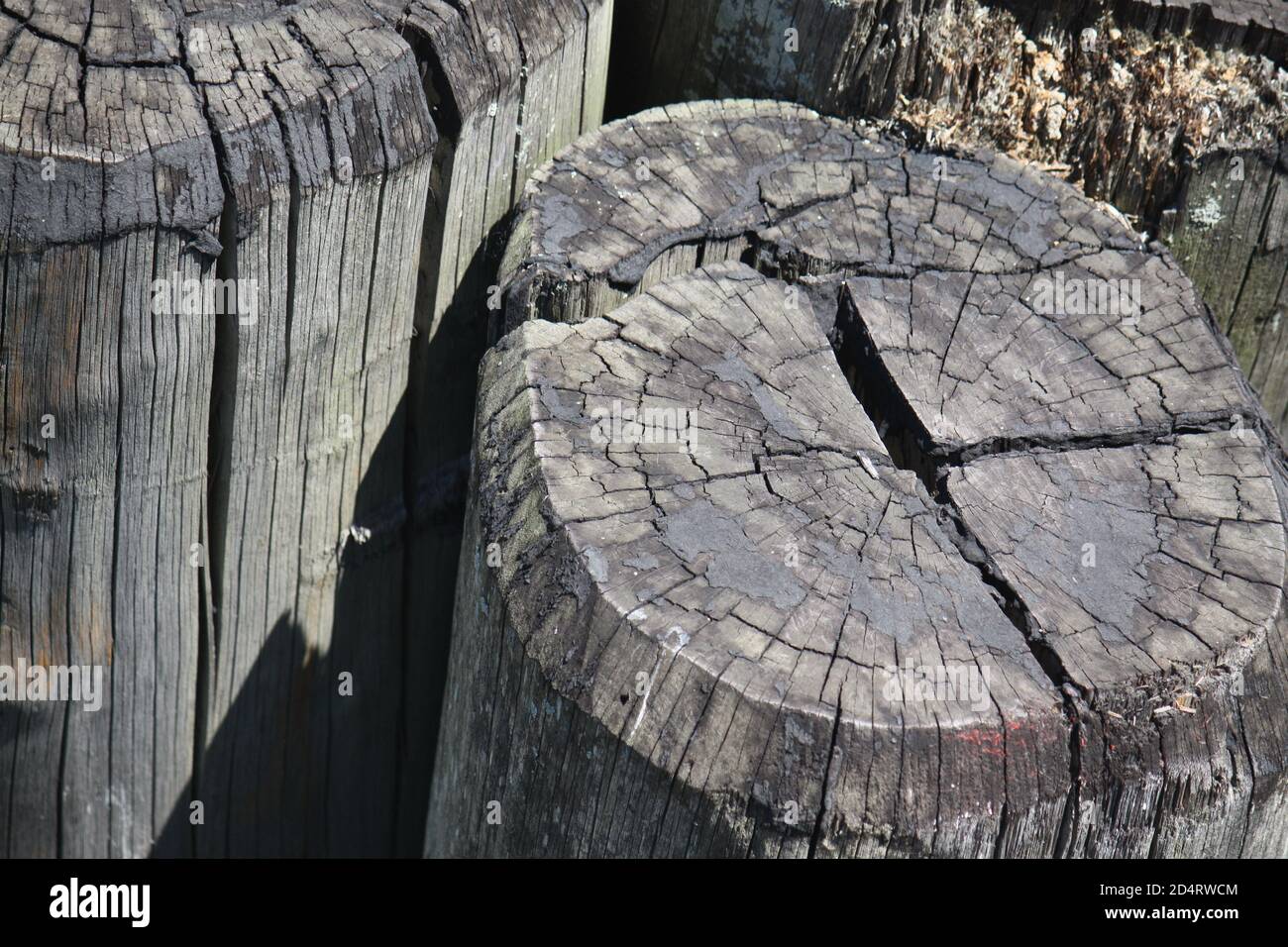 Pile de poteaux Banque de photographies et d’images à haute résolution - Alamy