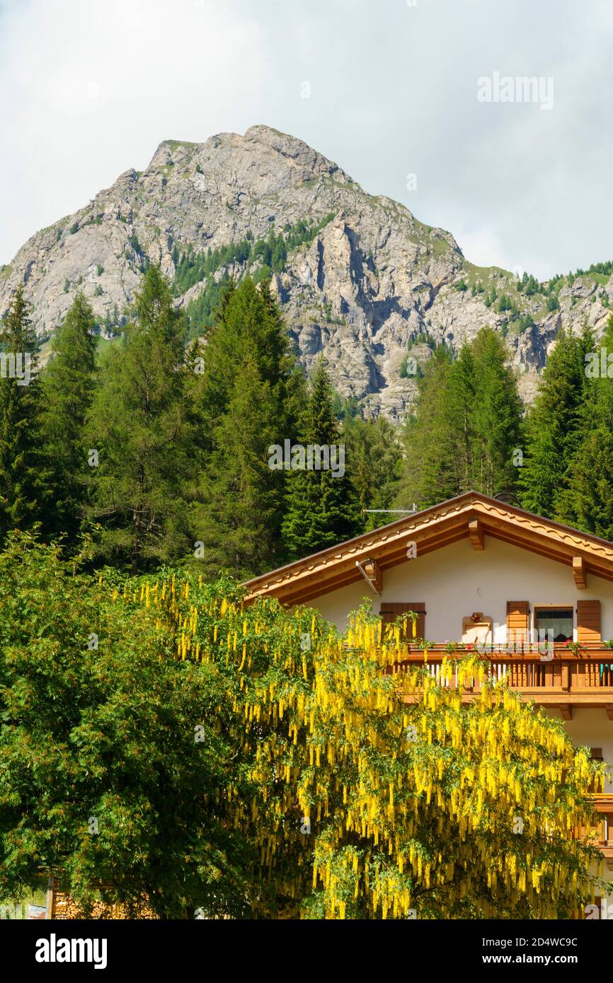 Col de staulanza Banque de photographies et d’images à haute résolution ...