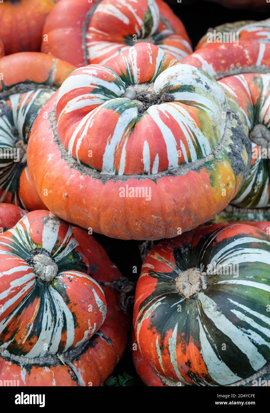 Turcs Turban Banque d'image et photos - Alamy