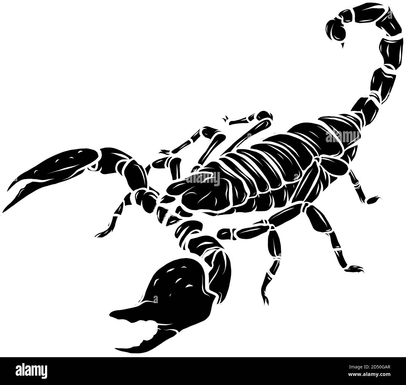 Scorpion noir dessin Banque de photographies et d’images à haute ...