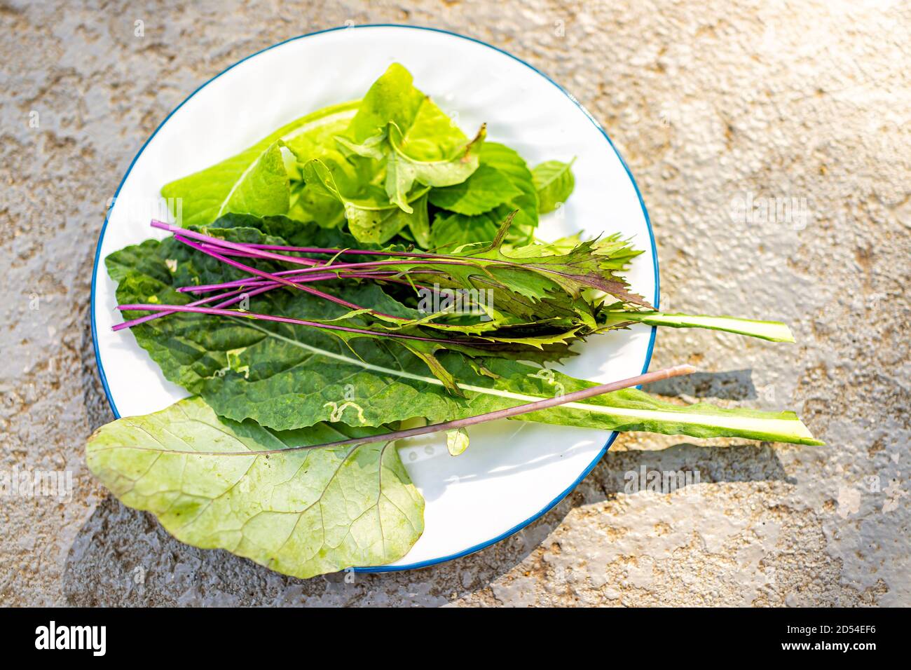 Feuilles De Laitue Rouges Et Vertes Banque d'image et photos - Alamy