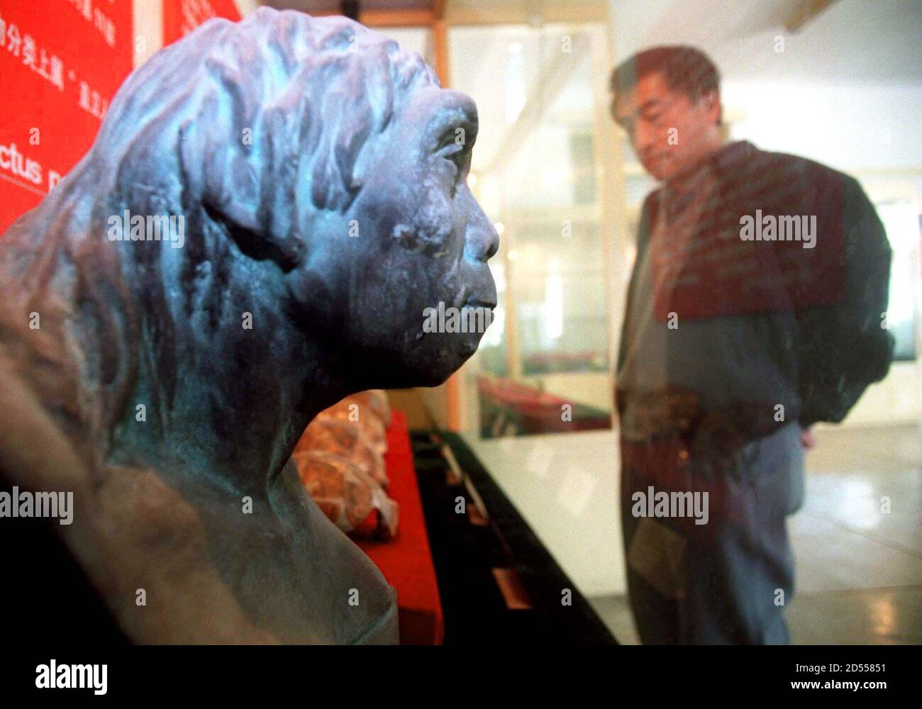 Homo Erectus Pekinensis Banque d'image et photos - Alamy