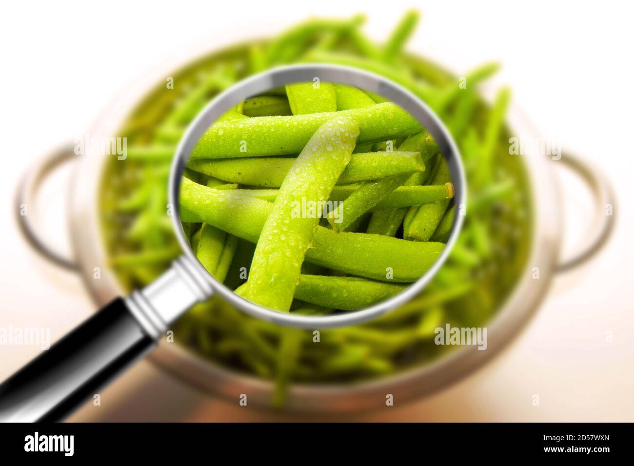 Le contrôle de la qualité de fraîcheur haricots verts - HACCP (analyse ...