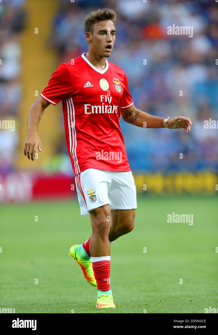 Andre horta Banque de photographies et d’images à haute résolution - Alamy