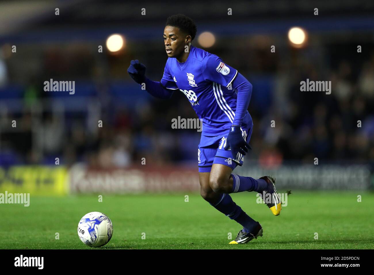Reece marron Banque de photographies et d’images à haute résolution - Alamy