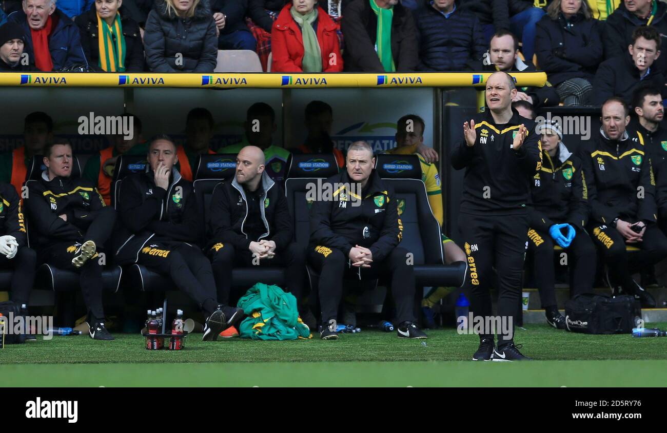 Le directeur de la ville de norwich alex neil sur la ligne de touche ...