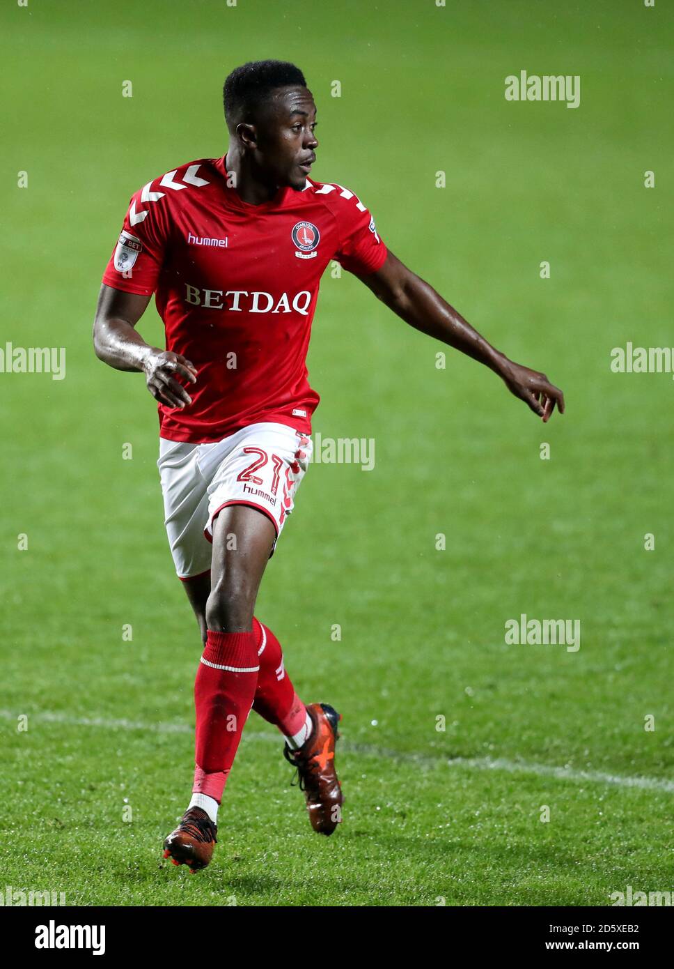 Joe dodoo Banque de photographies et d’images à haute résolution - Alamy