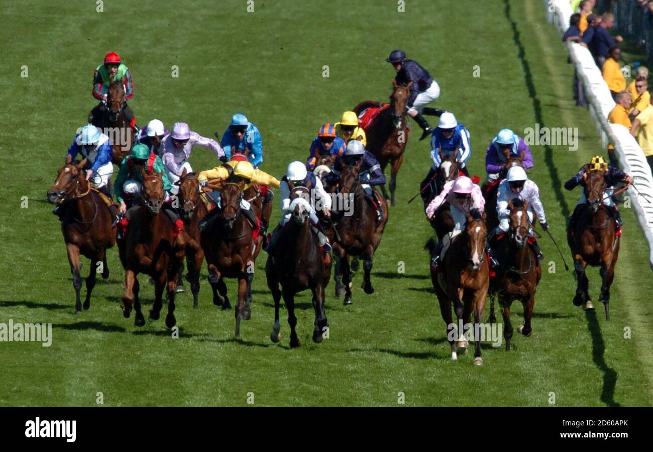 Colline dwyer Banque de photographies et d’images à haute résolution ...