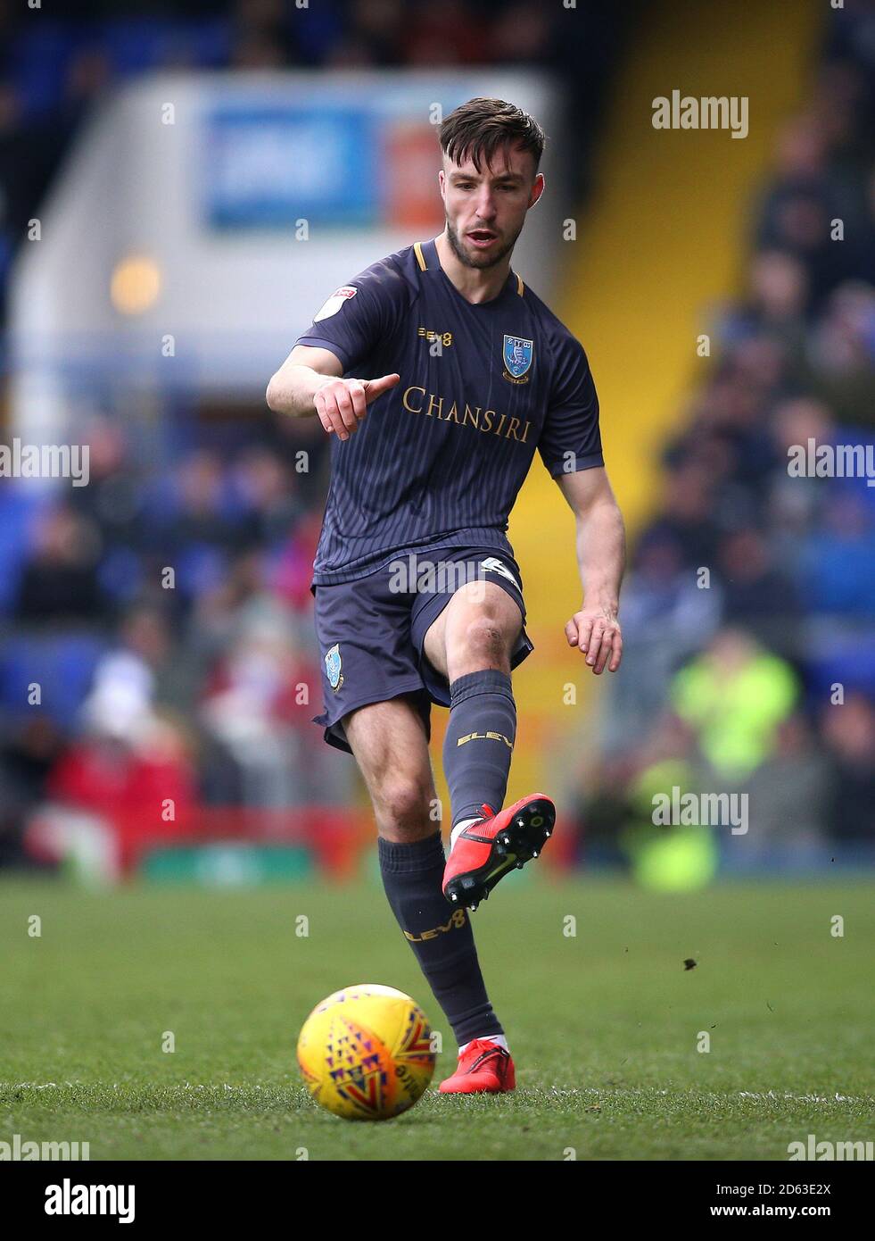 Sheffield mercredi morgan renard Banque de photographies et d’images à ...