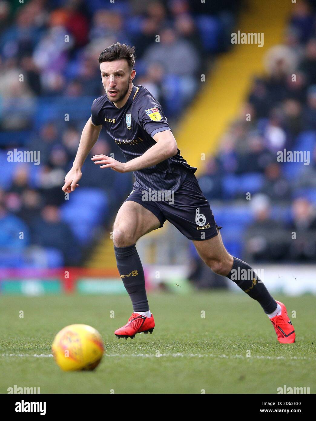 Sheffield mercredi morgan renard Banque de photographies et d’images à ...