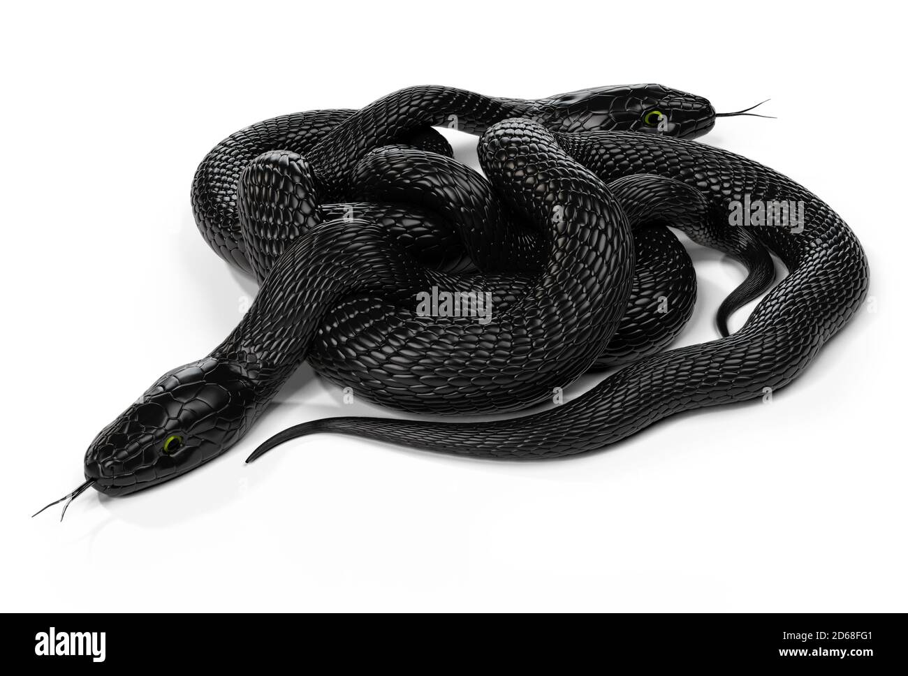Accouplement de reptiles Banque d'images détourées - Alamy