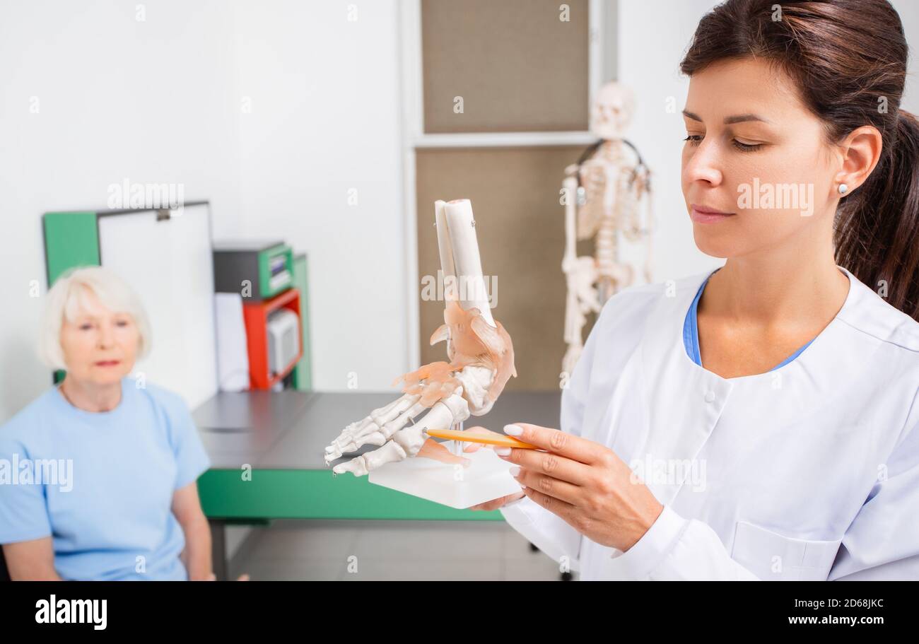L'orthopédiste du médecin pointe vers le modèle anatomique du pied ...