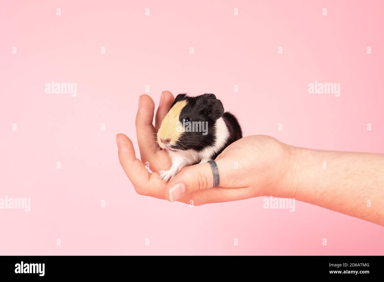 Cobaye humain Banque de photographies et d’images à haute résolution ...