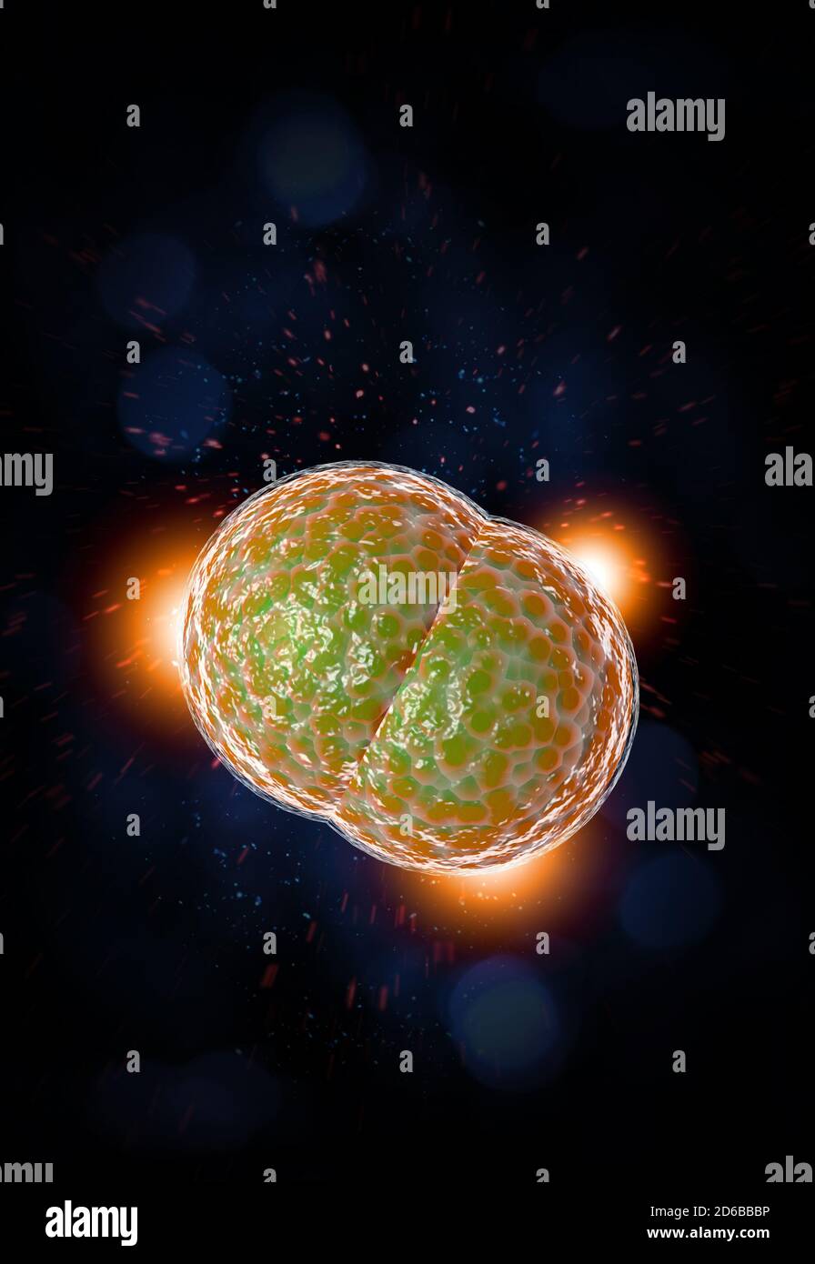 Neisseria meningitidis Banque de photographies et d’images à haute ...