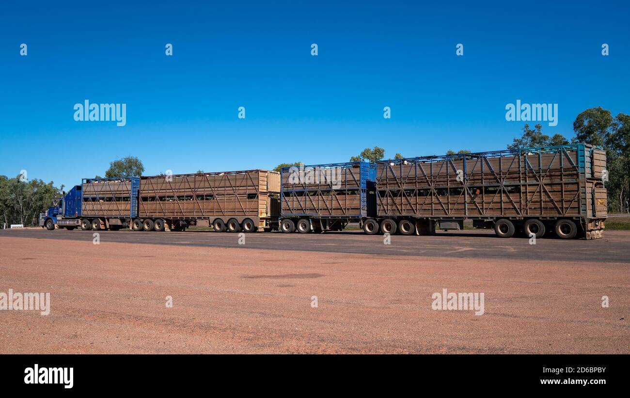 Double road train cattle truck Banque de photographies et d’images à ...