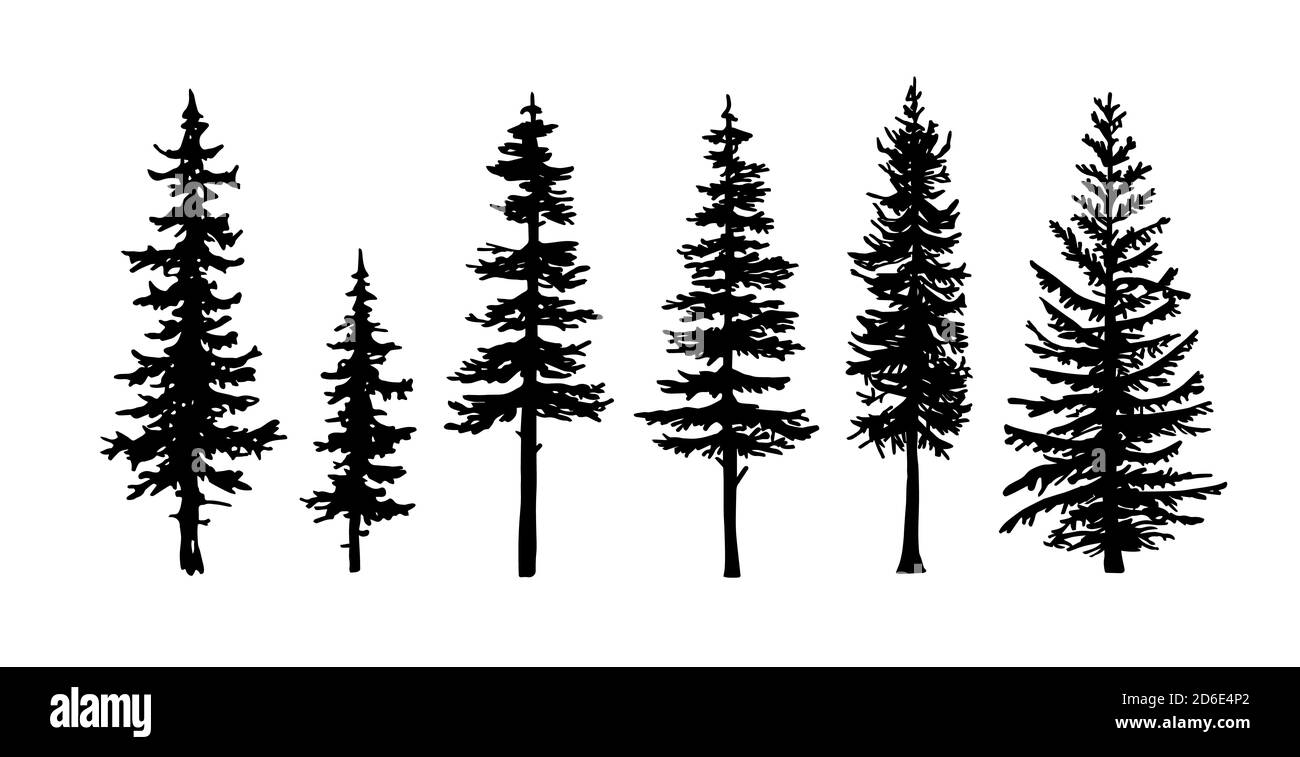 Ensemble de silhouettes d'arbres de différents types et formes isolées ...