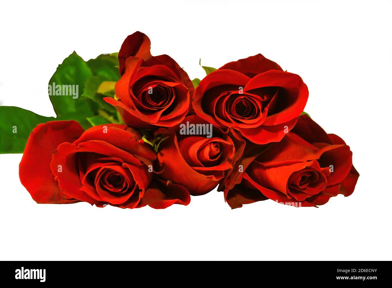 Bouquet de cinq roses rouges isoler sur fond blanc. Bouquet de roses ...