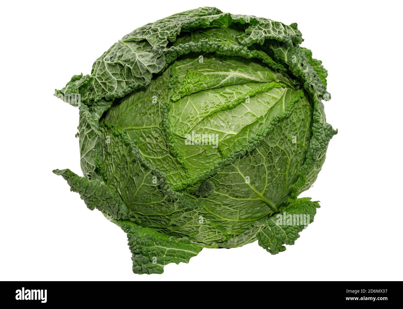 Feuilles de kail Banque d'images détourées - Alamy