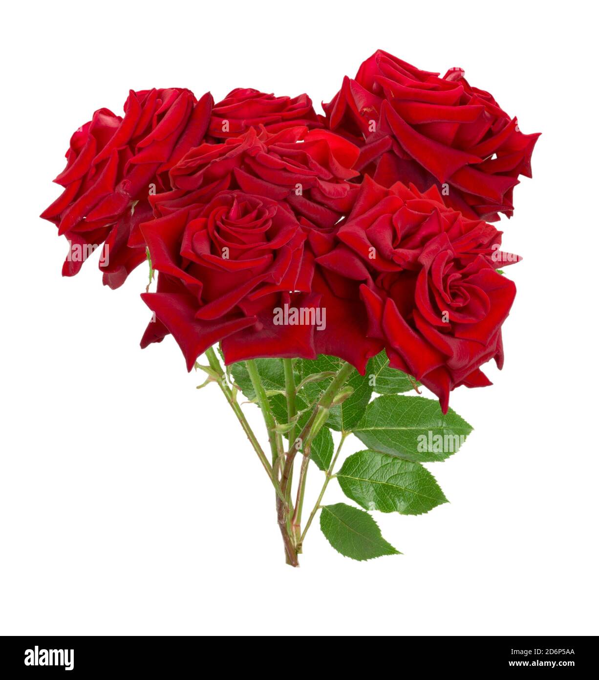 Bouquet de rose rouge Banque de photographies et d’images à haute ...