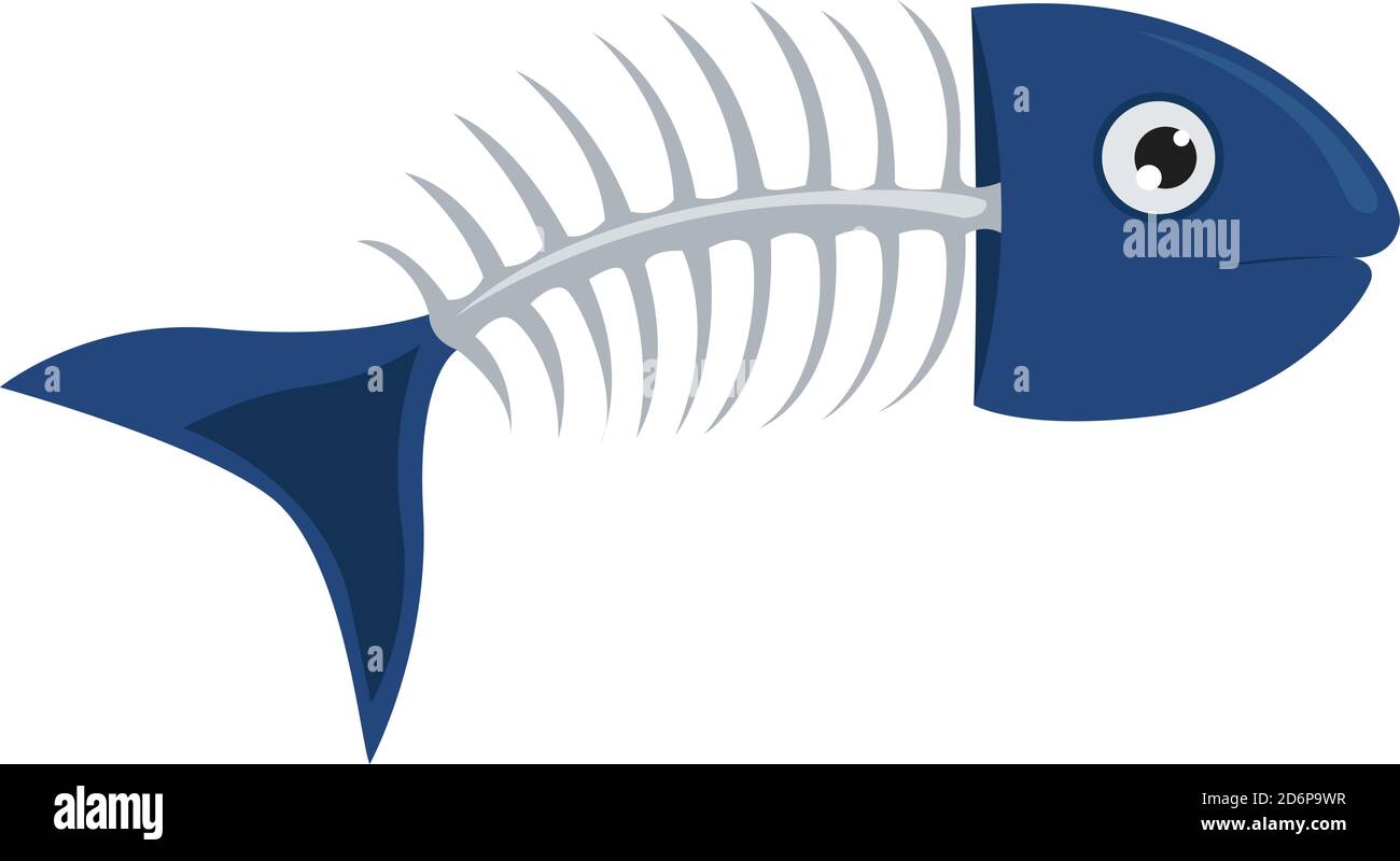 Fish skeleton illustration Banque d'images vectorielles - Alamy