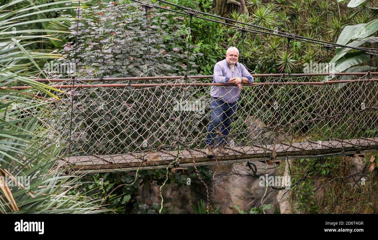 15 octobre 2020, Saxe, Leipzig: Jörg Junhold, directeur du zoo de ...