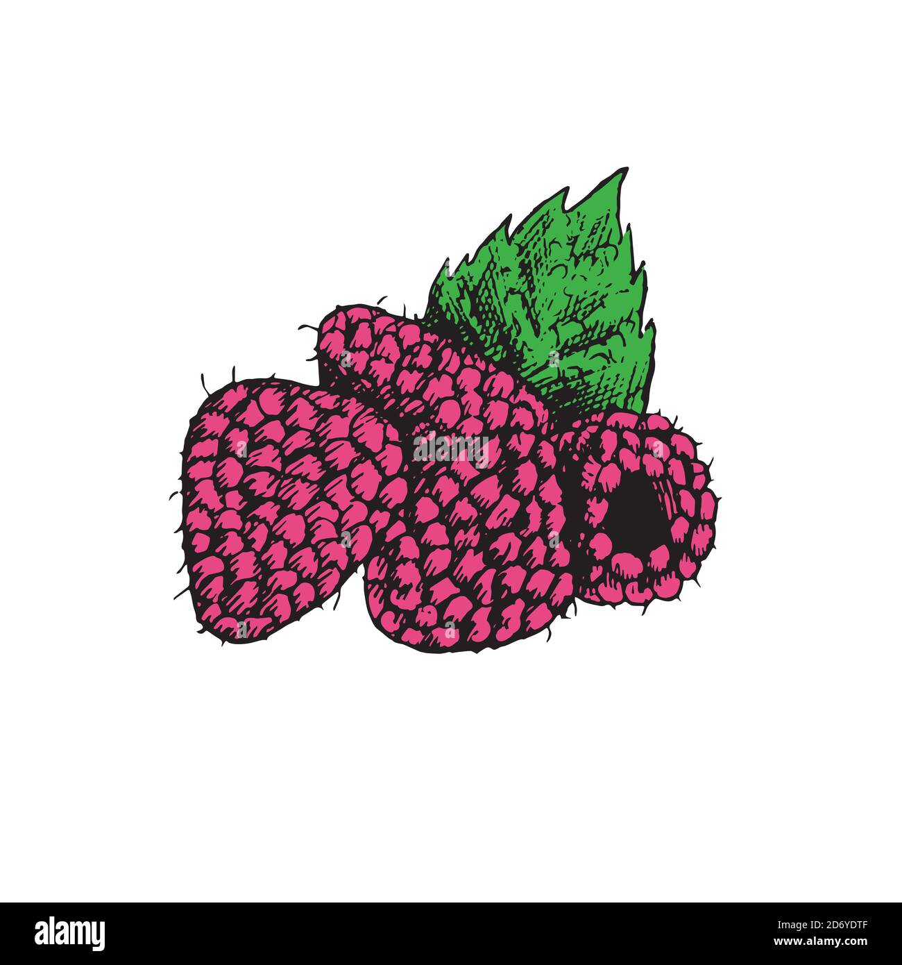 Dessin De Framboise Banque d'image et photos - Alamy