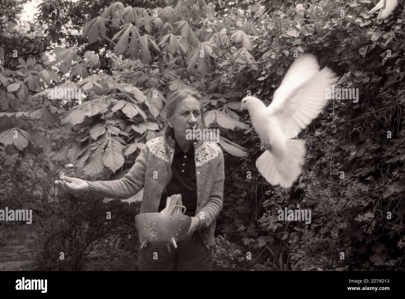 Jean cooke Banque de photographies et d’images à haute résolution - Alamy