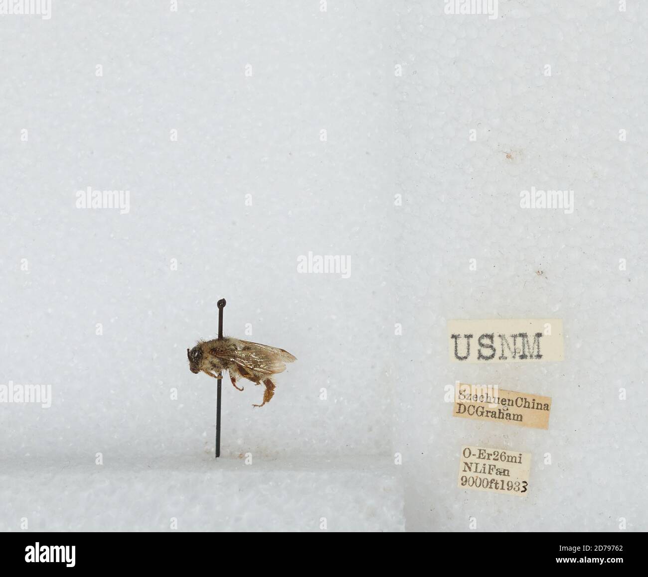 O er 26 miles n li fan Banque de photographies et d’images à haute ...