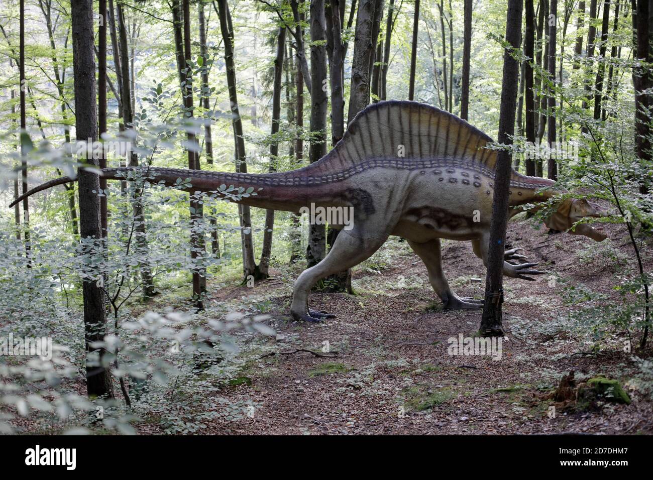 Spinosaurus dinosaur Banque de photographies et d’images à haute résolution - Alamy