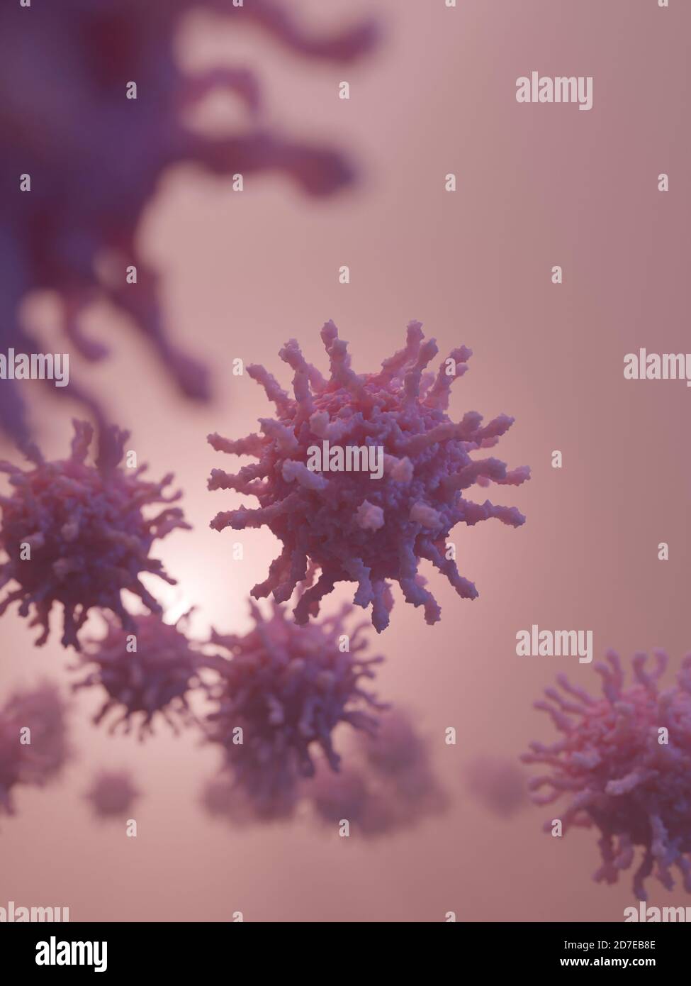 Poliovirus causant la polio ou la paralysie chez l'homme. La structure ...