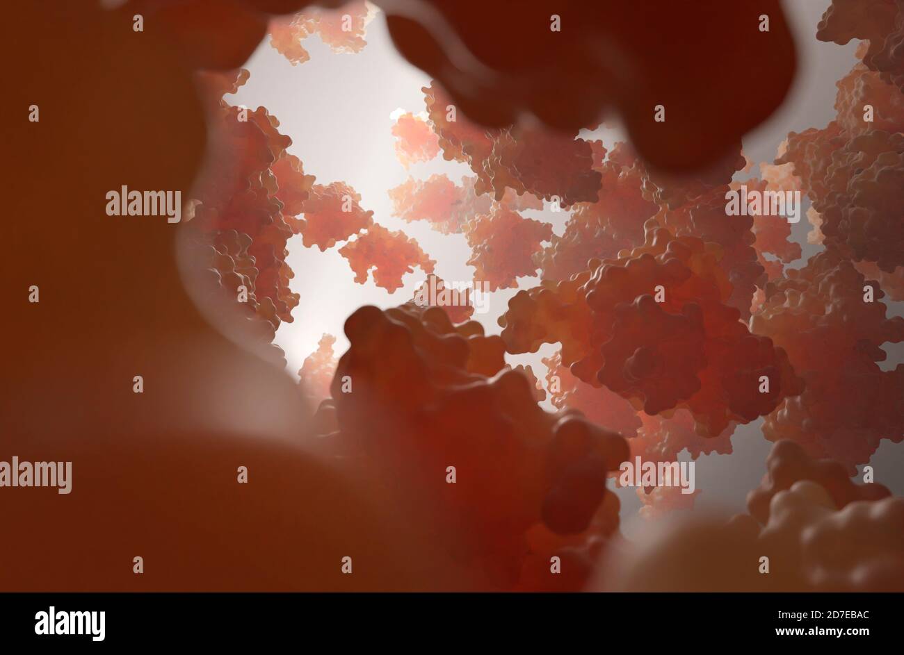 Structure des globules rouges Banque de photographies et d’images à ...