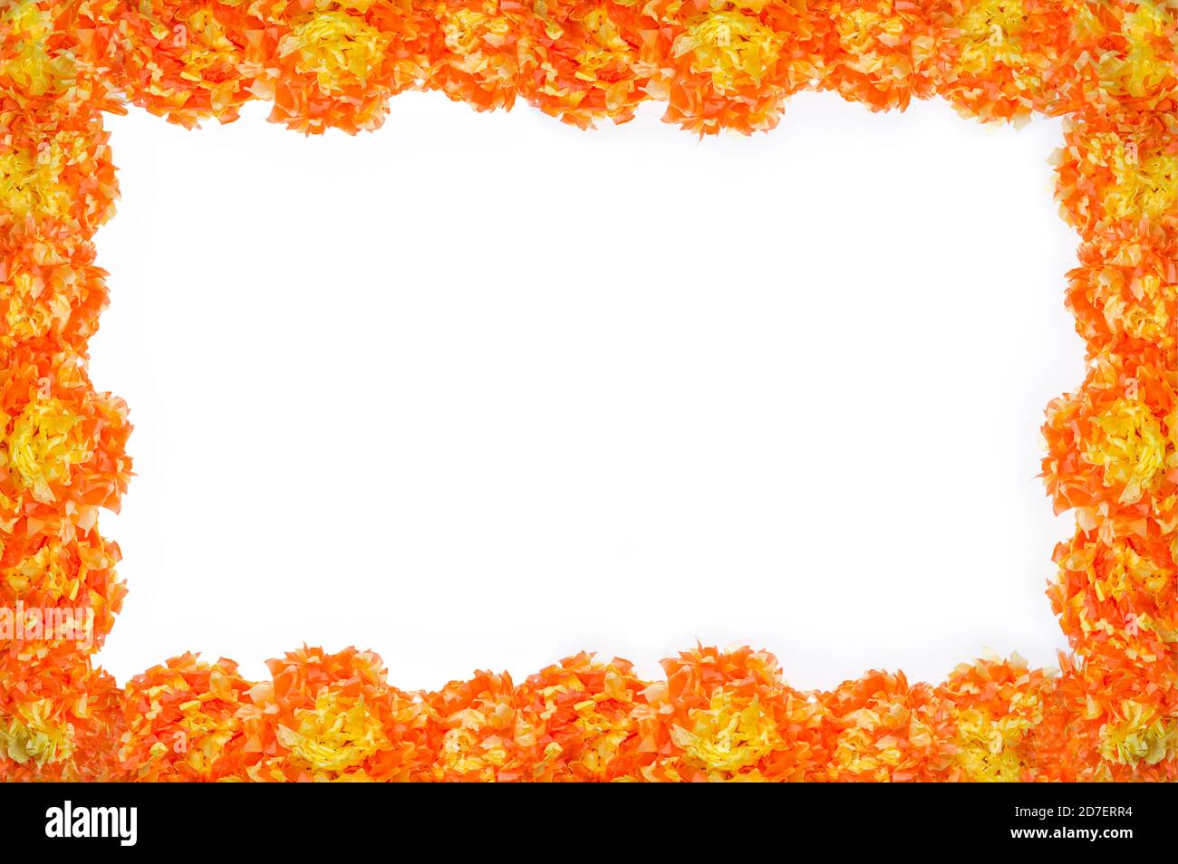 Fleur de cempasuchil du mexique Banque de photographies et d’images à haute résolution - Alamy