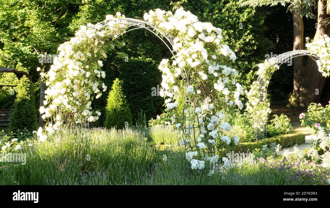 Pergola de jardin Banque de photographies et d’images à haute ...