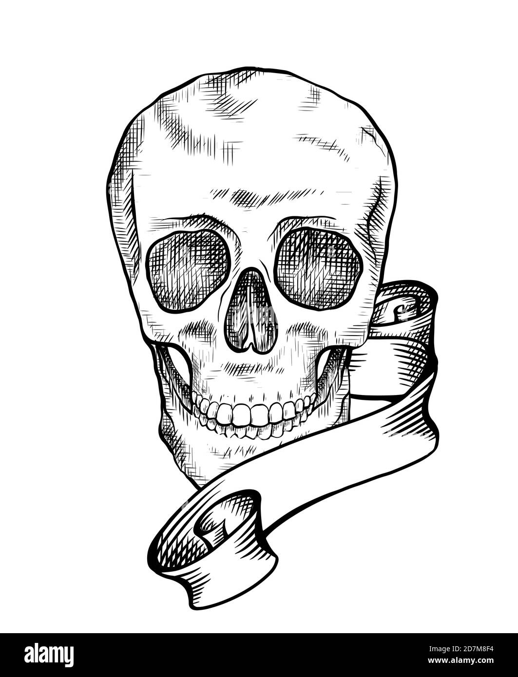 Crâne humain avec un hachurage et un ruban. Illustration des contours ...