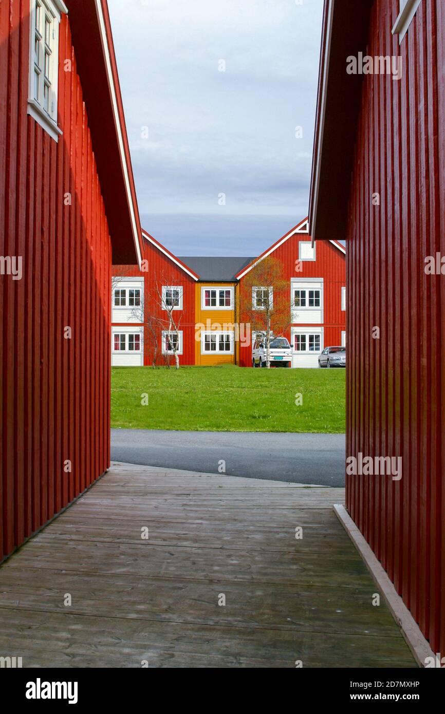 Maisons typiques et paysage typique des îles Lofoten, avec fjords ...