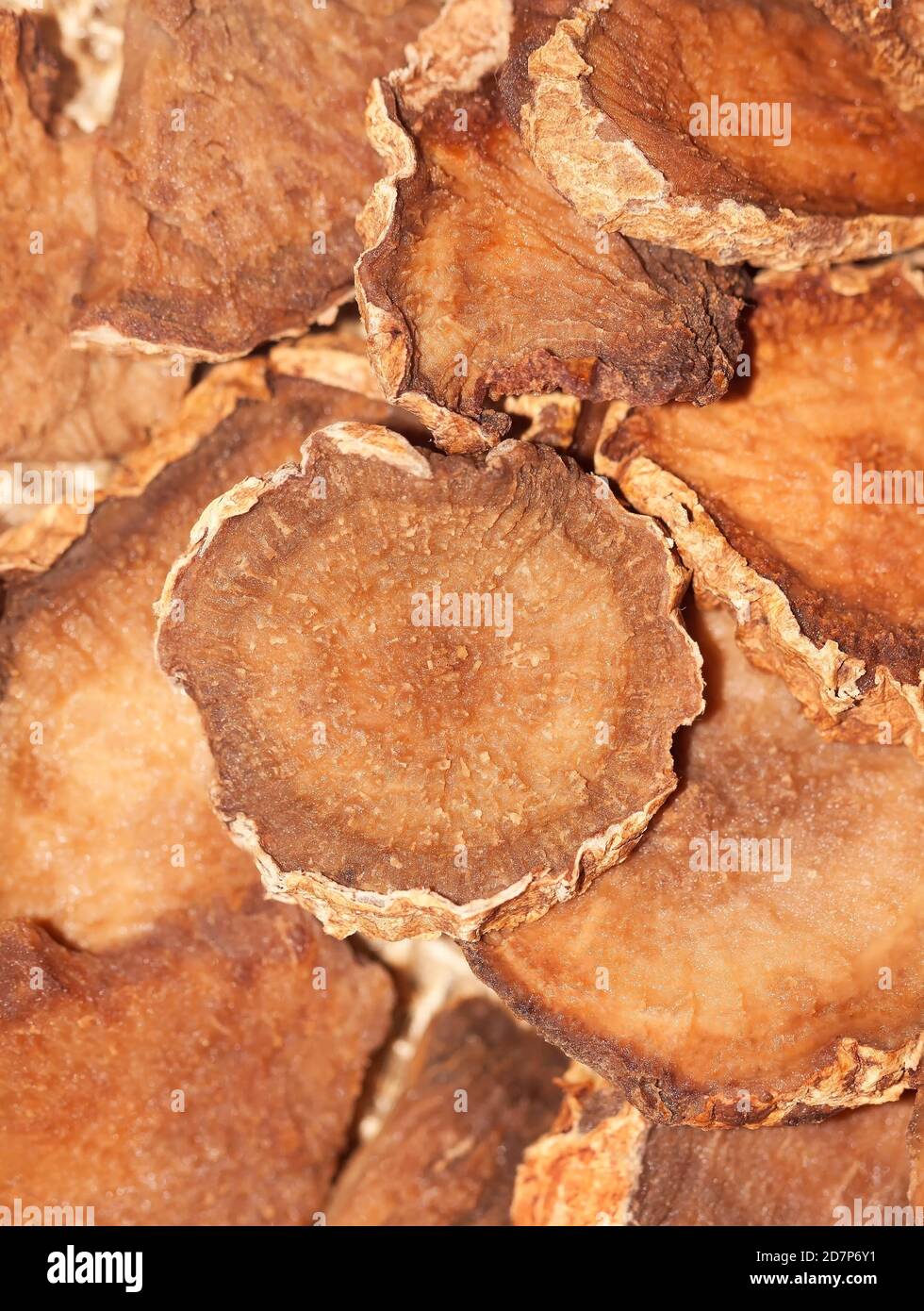 Plante de griffe de diables Banque de photographies et d’images à haute ...