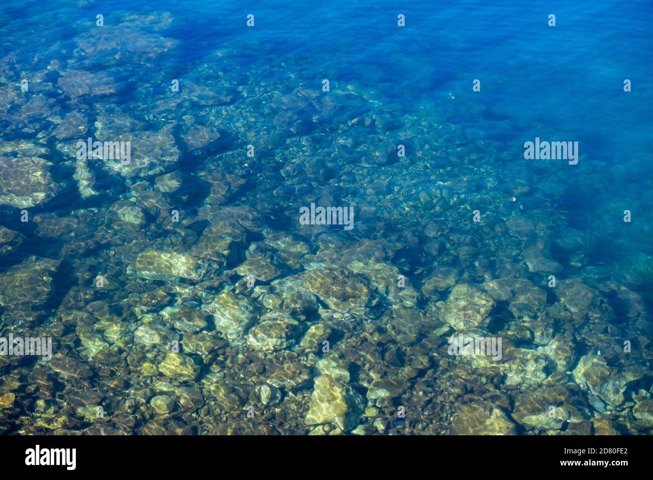 Fond marin rocheux Banque de photographies et d’images à haute ...