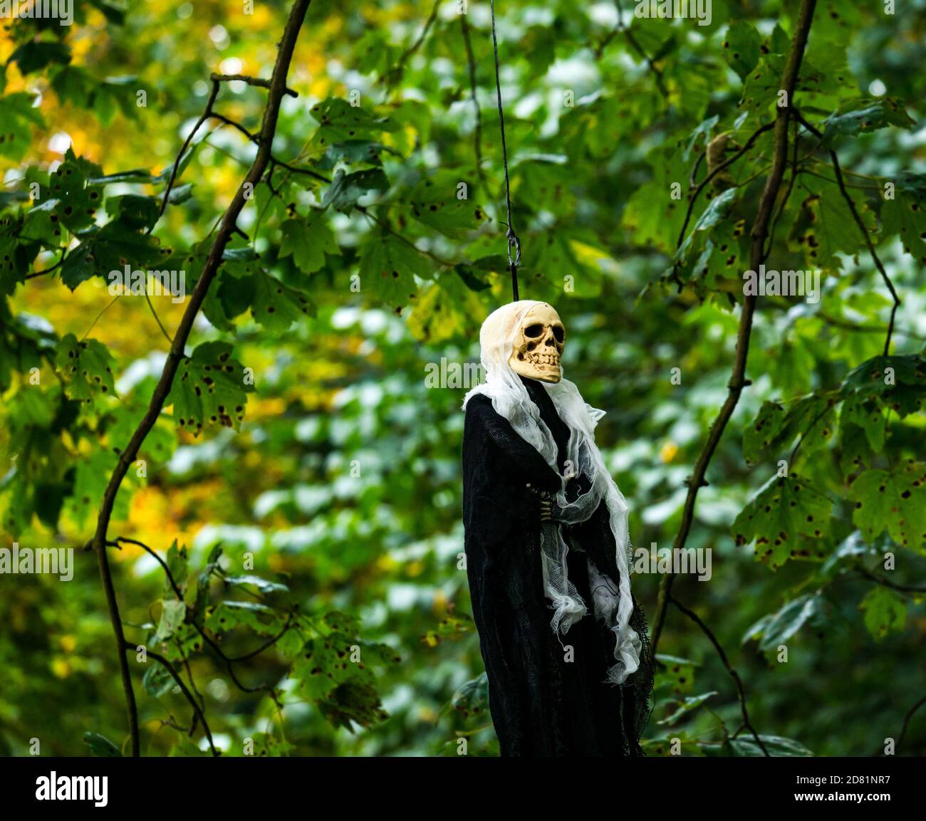 Squelette effrayant Banque de photographies et d’images à haute ...