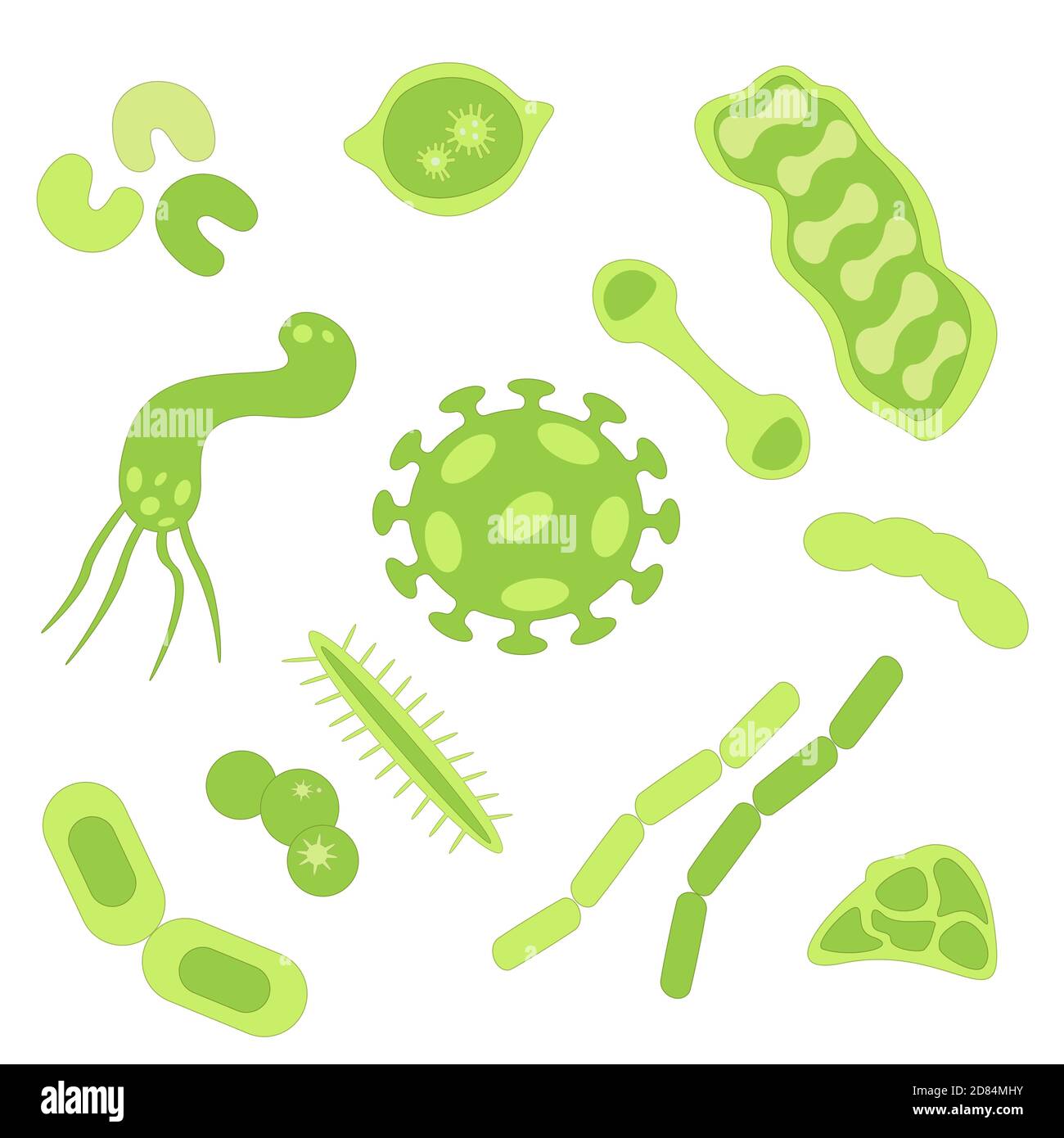 Microorganismes parasites Banque d'images vectorielles - Alamy