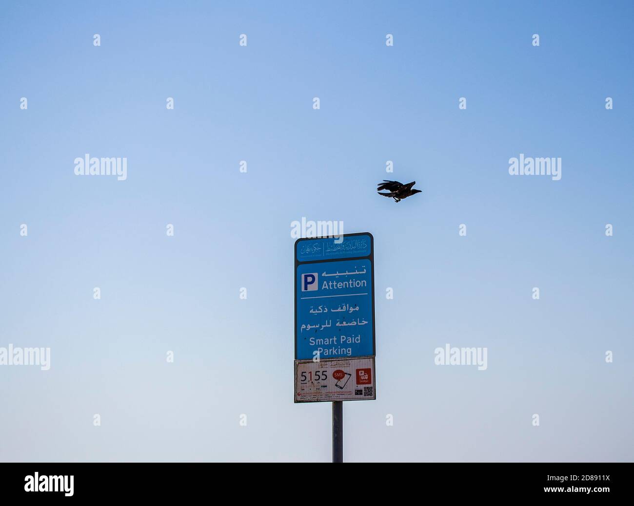 Números y signos de puntuación Banque de photographies et d’images à ...