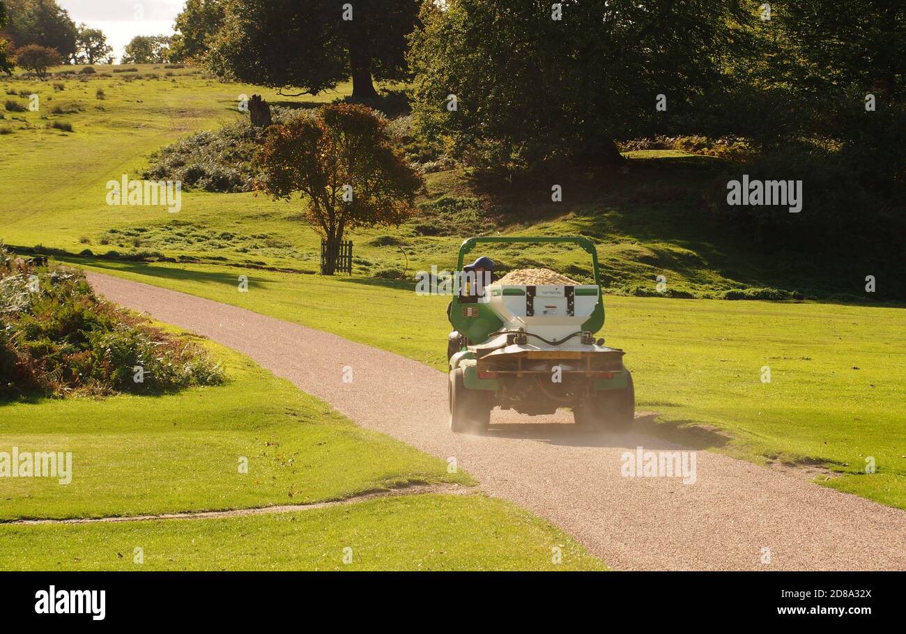 Sable de bunker Banque de photographies et d’images à haute résolution ...