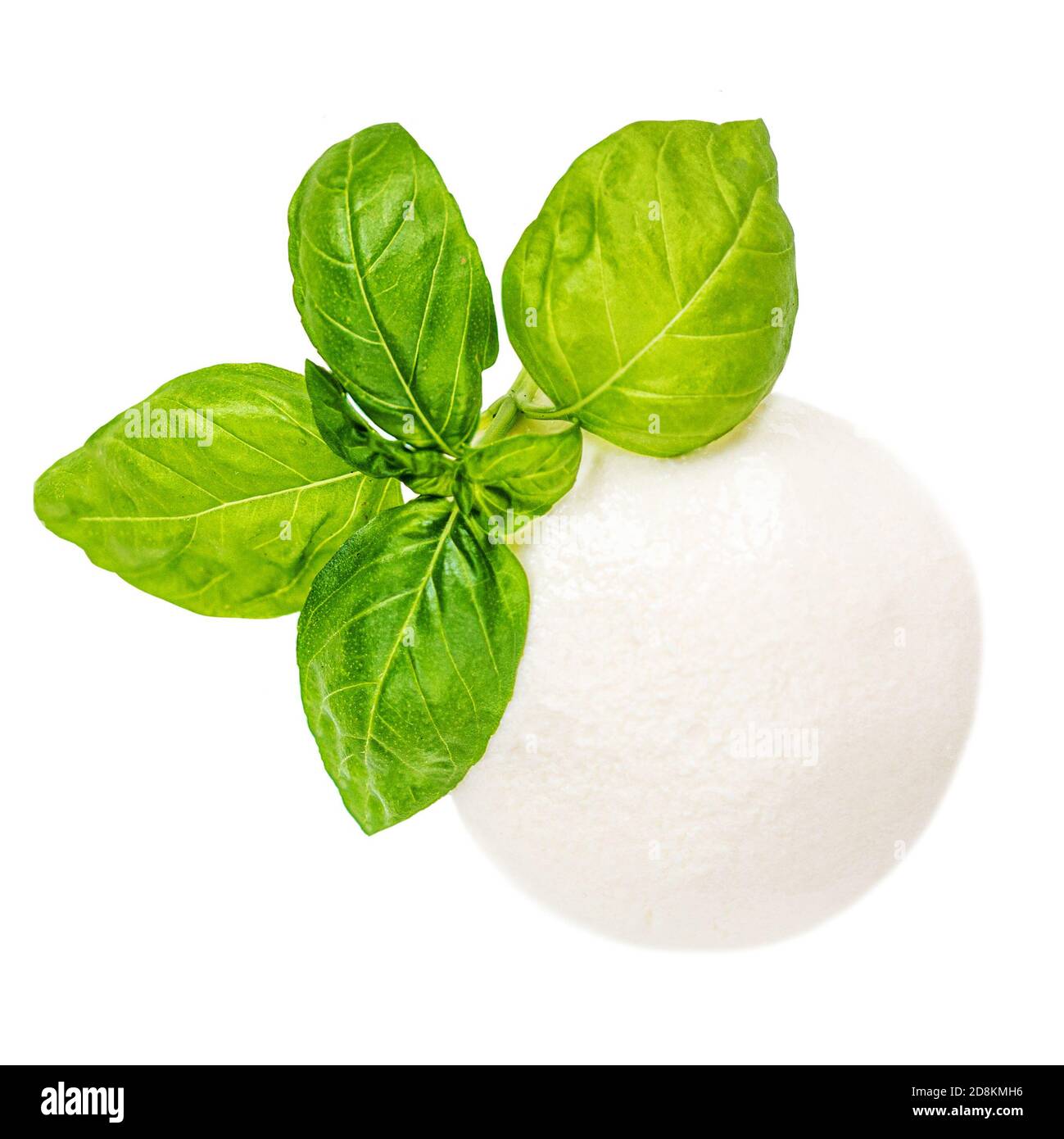 Fromage mozzarella isolé. Boule de mozzarella italienne traditionnelle ...