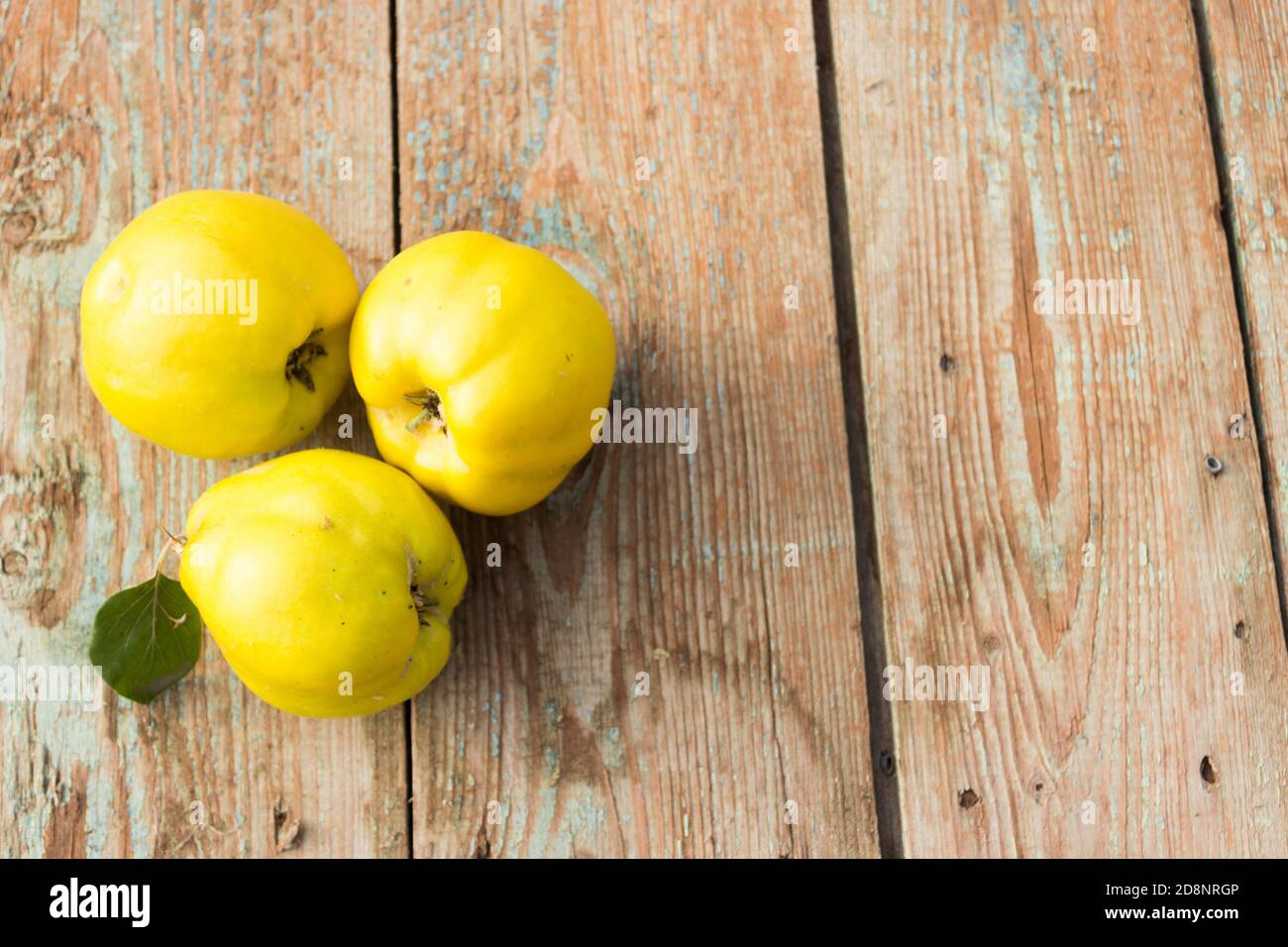Feuilles de coing Banque de photographies et d’images à haute ...