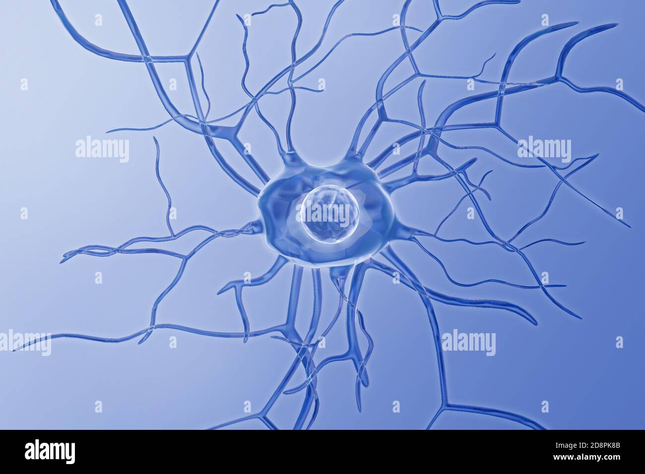 Nerve cells Banque de photographies et d’images à haute résolution - Alamy