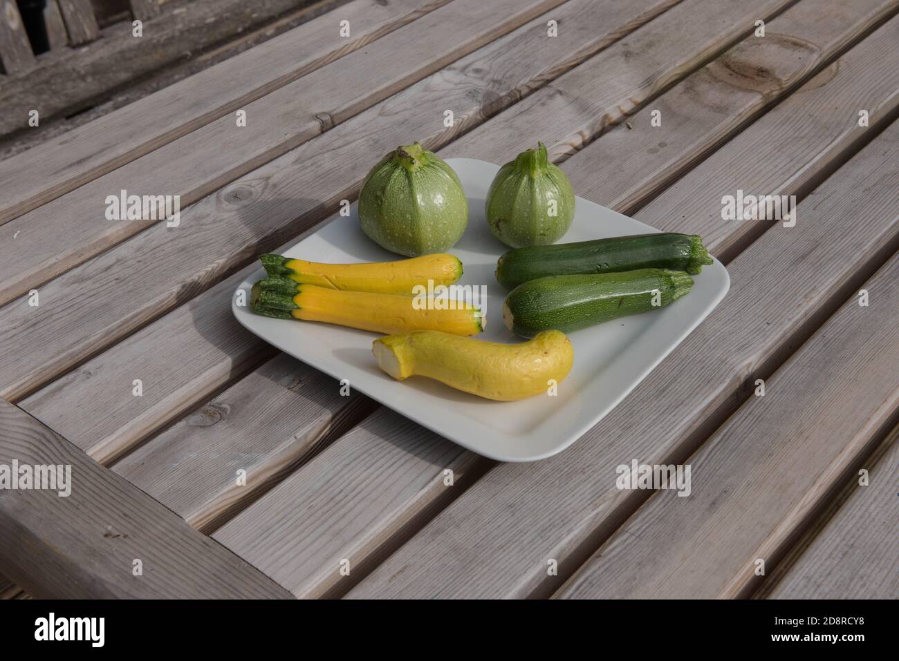 Cucurbita pepo est elle commestible Banque de photographies et d’images ...