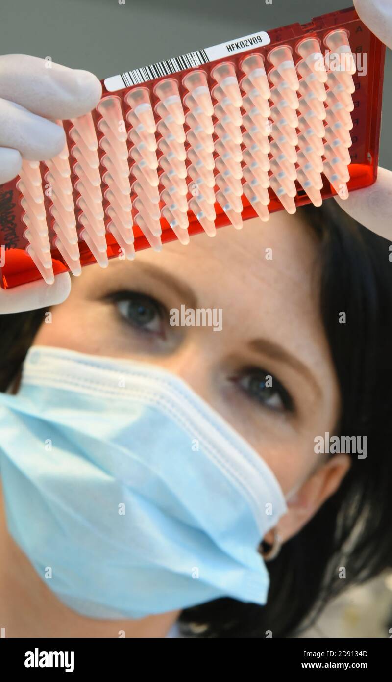 Eva sars Banque de photographies et d’images à haute résolution - Alamy